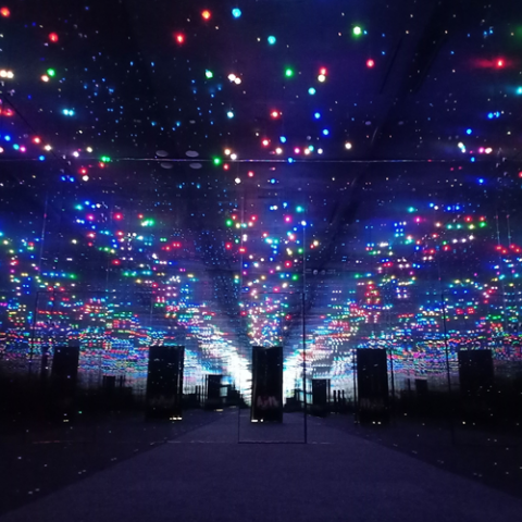 Infinity Room - Ripley's